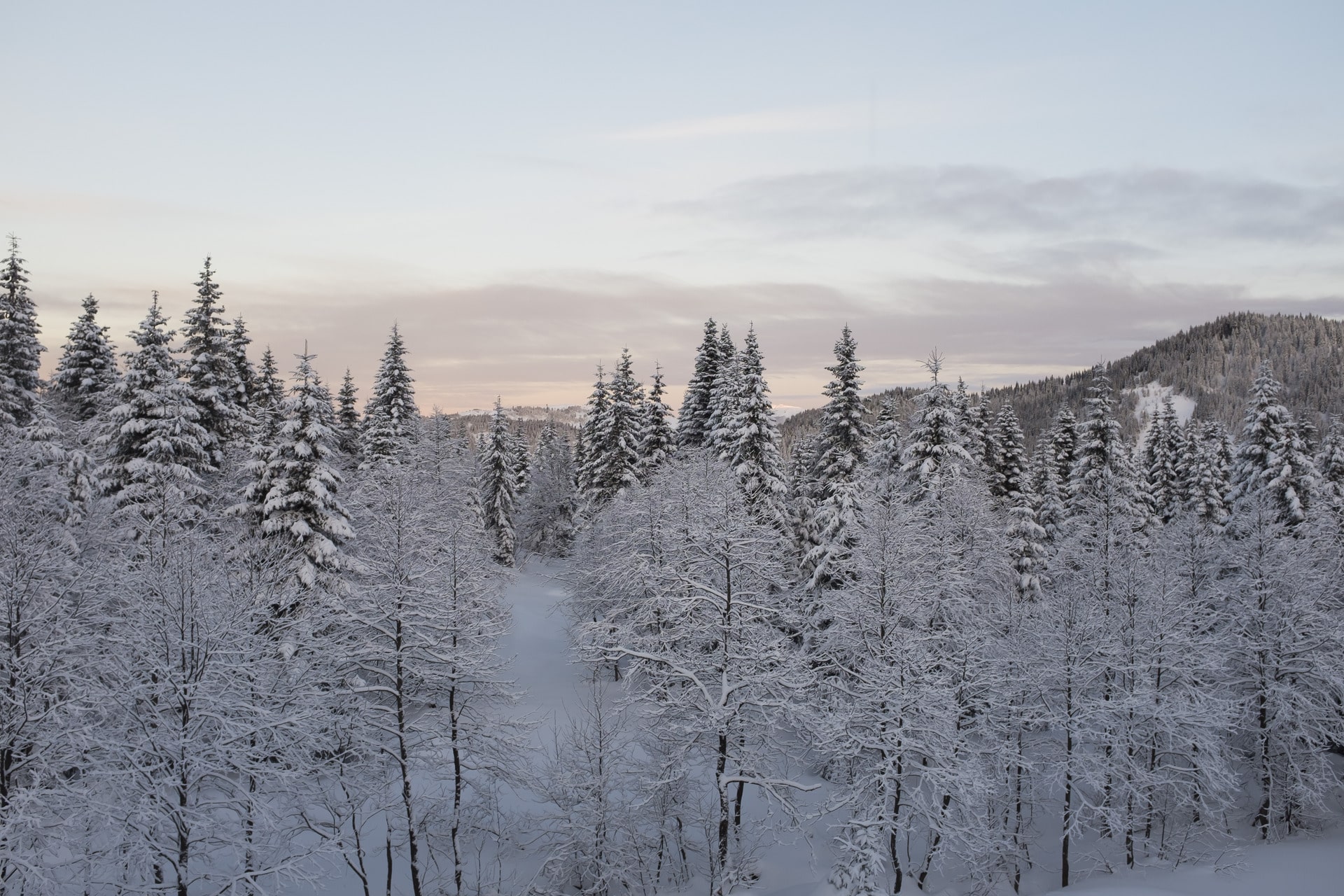 Official Tourist Guide of Ajara - Visitajara